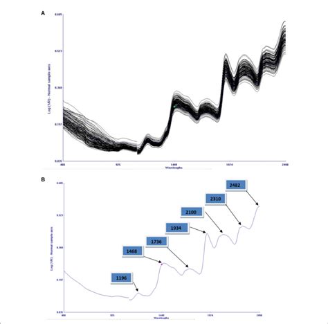 A A Combined Plot Of Reflectance Spectra Of All The Entire Eee Cowpea Download Scientific