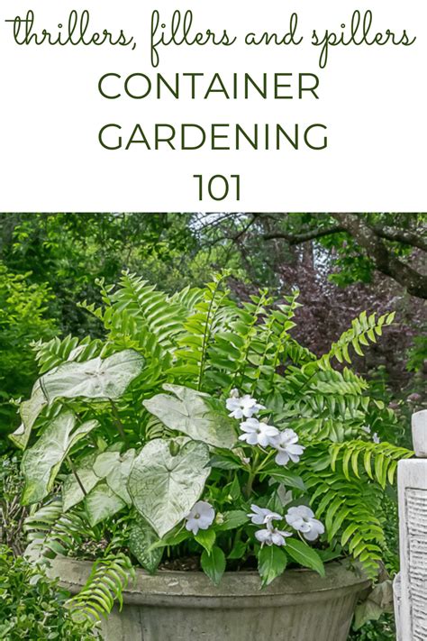 Container Gardening Basics Thrillers Fillers And Spillers · Nourish