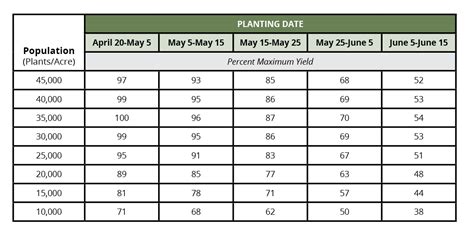 Replant Considerations For Organic Corn Plant A Guide