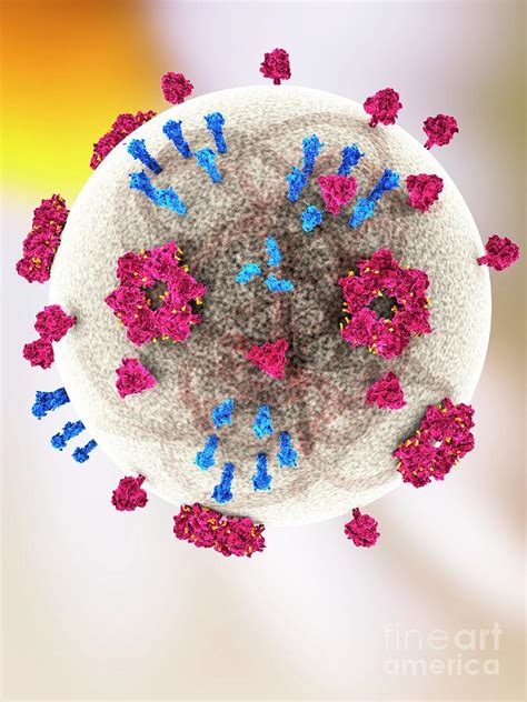 Nipah Virus Structure 3 By Science Photo Library