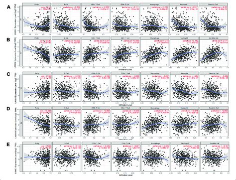 Correlation Analysis Of Laminin Genes And Immunocyte Infiltration Download Scientific Diagram
