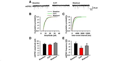 Effect Of 5 Ht On Mepsc Recorded In Neurons Of The Acc A Download Scientific Diagram