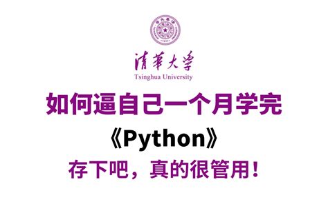 【全300集】一套可能是b站最系统的python零基础教程（理论实战），2025最新版，小白逼自己一周学完，编程技术猛涨！存下吧，很难找全的