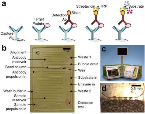 Figure 1 From Development Of An Automated On Chip Bead Based Elisa