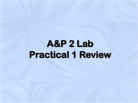 PPT A P 2 Lab Practical 1 Review PowerPoint Presentation Free Download ID 6709243