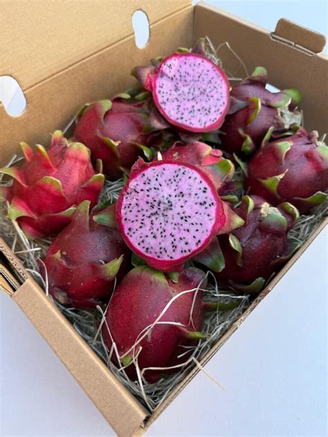 Tropical Fruit Paradise Fructe Bio