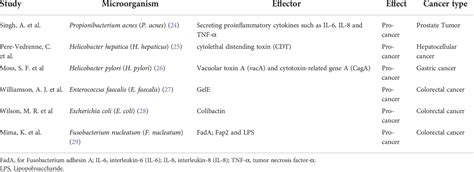Frontiers The Impact Of The Microbiome In Cancer Targeting Metabolism Of Cancer Cells And Host