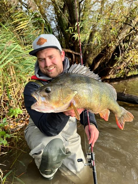 Roofmeister Inside Actuele Roofvis Vangsten And De Gouden Wissel Roofmeister