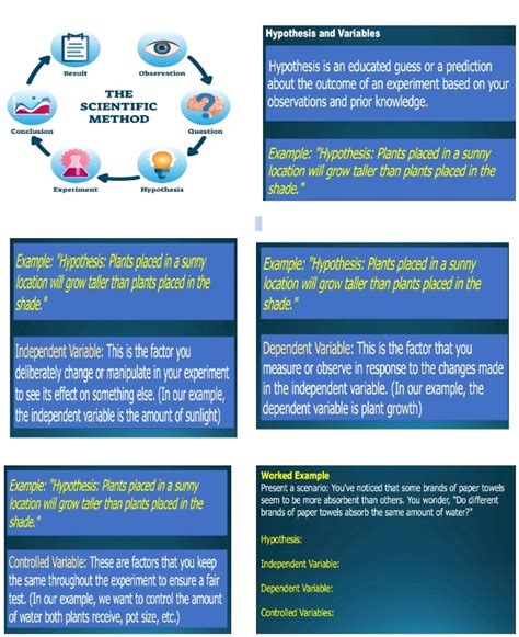 Example Hypothesss Plants Placed In A Sunny Studyx