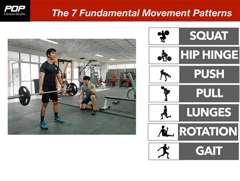 The 7 Fundamental Movement Patterns Pop Fitness Studio The 7 Fundamental Movement Patterns Pop Fitness Studio