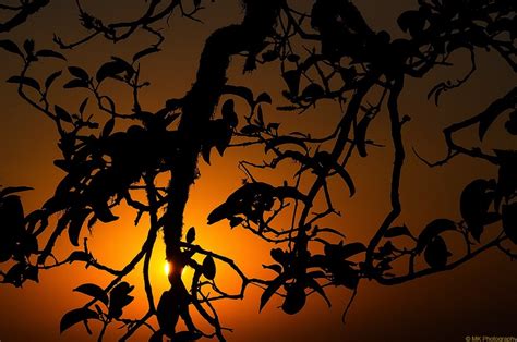 Complex Problems Simple Solutions