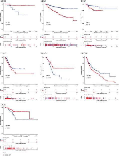 Correlation Between Hhla2 Expressions In Patients With Dss Values Of P Download Scientific