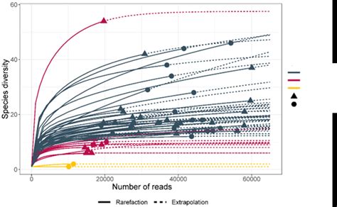 데이터 시각화논문 작업 데이터 전처리·분석·시각화 포트폴리오 크몽