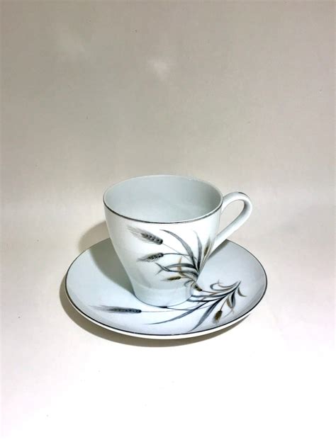 Sone China 3601 Teacup And Saucer