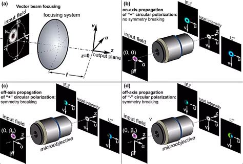 Vectorial Spin Orbital Hall Effect Of Light Upon Tight Focusing And Experimental Observation In