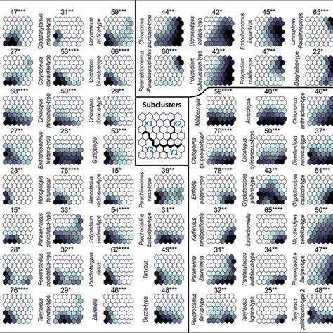 seventy nine non empty core samples assigned to 42 self organising map