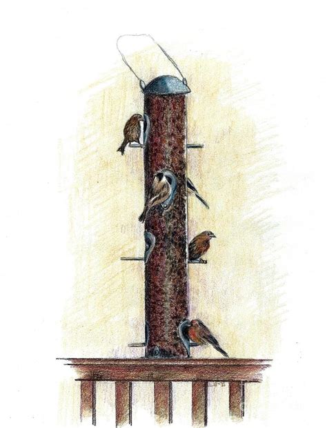 Bird Feeder 2 Drawing By Lora McGowan Fine Art America