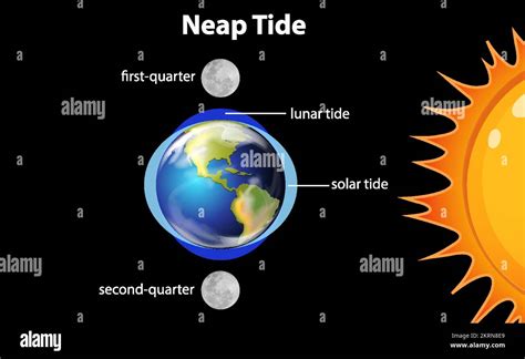 Tides Diagram