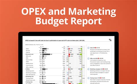 Opex And Marketing Budget Report Powerpoint Template Zebra Bi