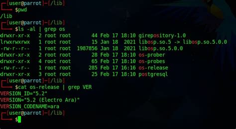kali linux vs parrot os which pentesting distro is best