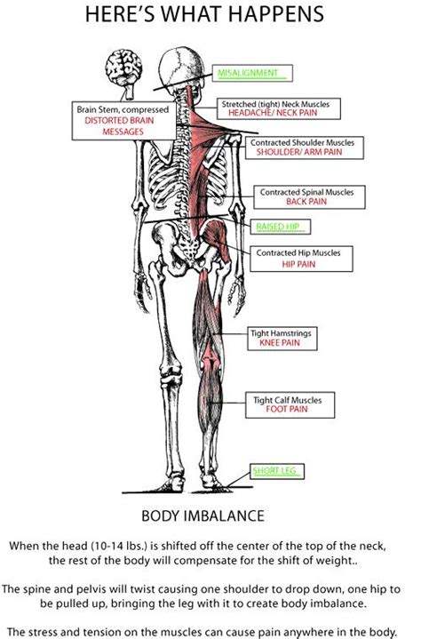 What Is Nucca Nucca Wellness Chicago