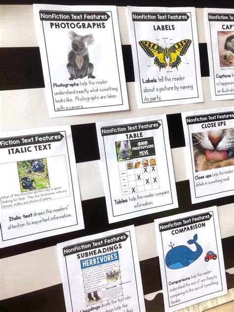 Nonfiction Text Features Activities