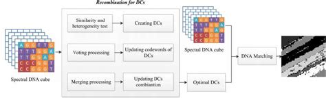 Figure 33 From Unsupervised Classification Of Hyperspectral Images Based On Spectral Features