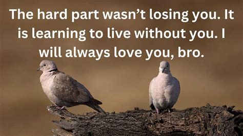 I Miss You Brother Quotes From Sister