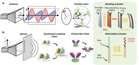 Microwave‐driven Robots With Two Different Motion Forms A Schematic Download Scientific