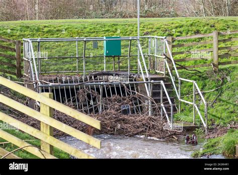 Blockage Management In Public Uk Park Preventing Debris From