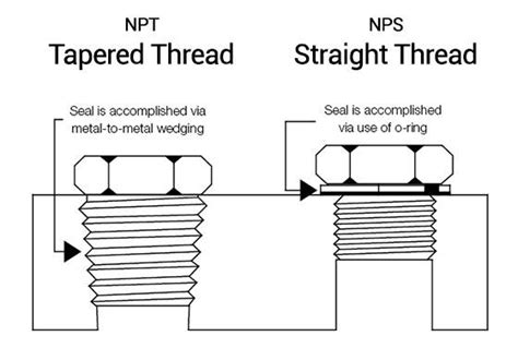 √100以上 1/4 npt male thread dimensions 333474-1/4 npt internal thread ...