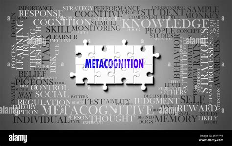 metacognition as a complex subject related to important topics