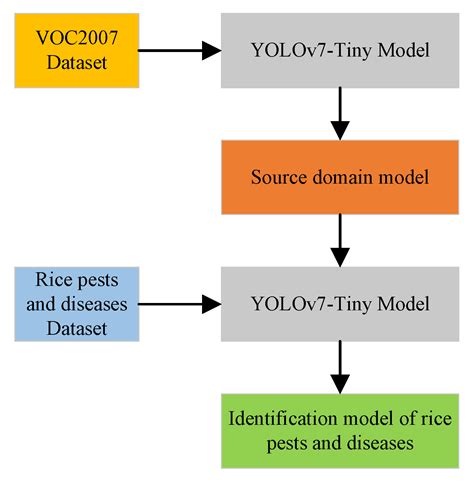 Rice Diseases Identification Method Based On Improved Yolov7 Tiny