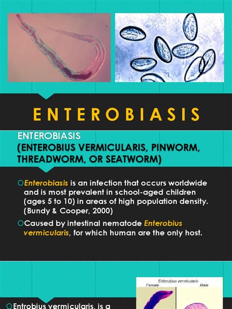 Enterobiasis Pdf Diseases And Disorders Clinical Medicine