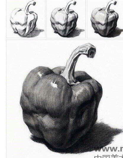 전주굿디자인 달팽이묘사 달팽이개체표현 연필소묘드로잉 정물소묘 연필드로잉 개체묘사 고려대 이대소묘드로 기초디자인 기초드로잉 연필소묘드로잉 정밀묘사 Artofit