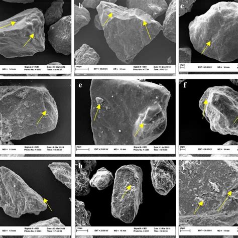 Mean Grain Size Distribution In The Different Geographical Positions Of