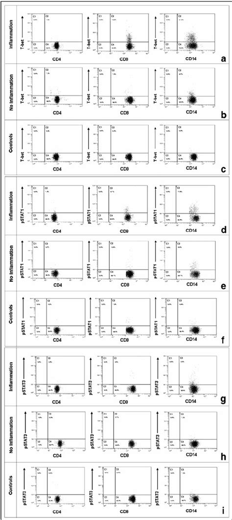 representative two parameter plots represent only cells gated on the