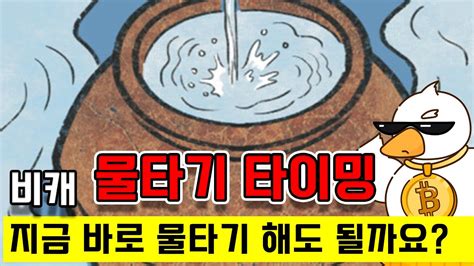 비트코인캐시 지금 추가매수 해도 괜찮을까요 Youtube