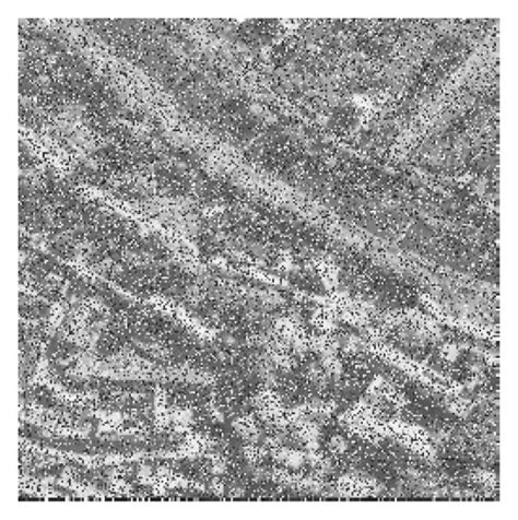 Noise Attack Analysis A B C The Noisy Encrypted Images By Spn With Download Scientific