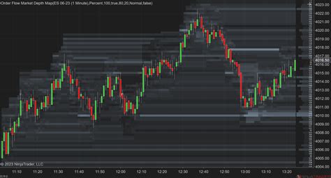 Liquidity Flows Indicator For NT8