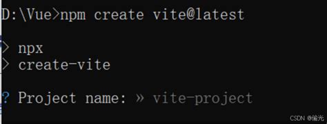 如何使用 Vite 创建一个项目（vue 或者 React）react19 Vite创建项目 Csdn博客