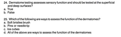 24 Dermatome Testing Assesses Sensory Function And Should Be Tested At