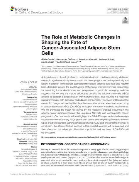 PDF The Role Of Metabolic Changes In Shaping The Fate Of Cancer Associated Adipose Stem Cells