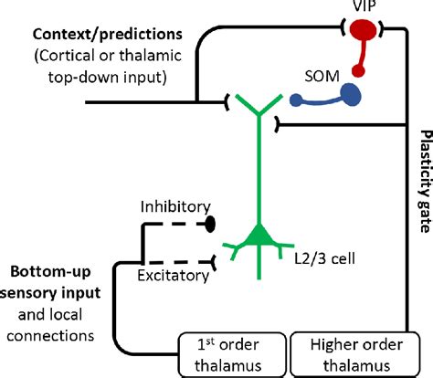figure 2 from contextual signals in visual cortex semantic scholar