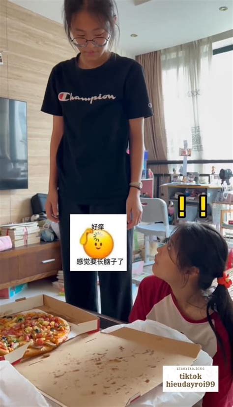 Dingding Và Dangdang Xiaoxiao Dingdingvadangdang Chiemdingdang