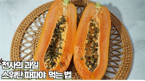 이색 열대과일 포천스위탄 파파야 먹는법 Youtube