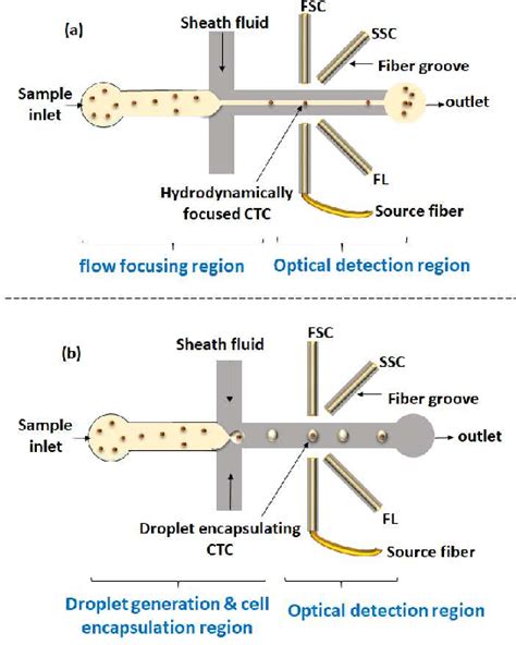 Figure 1 From Advantage Of Droplet Encapsulation Scheme In Microflow Cytometer Based Detection
