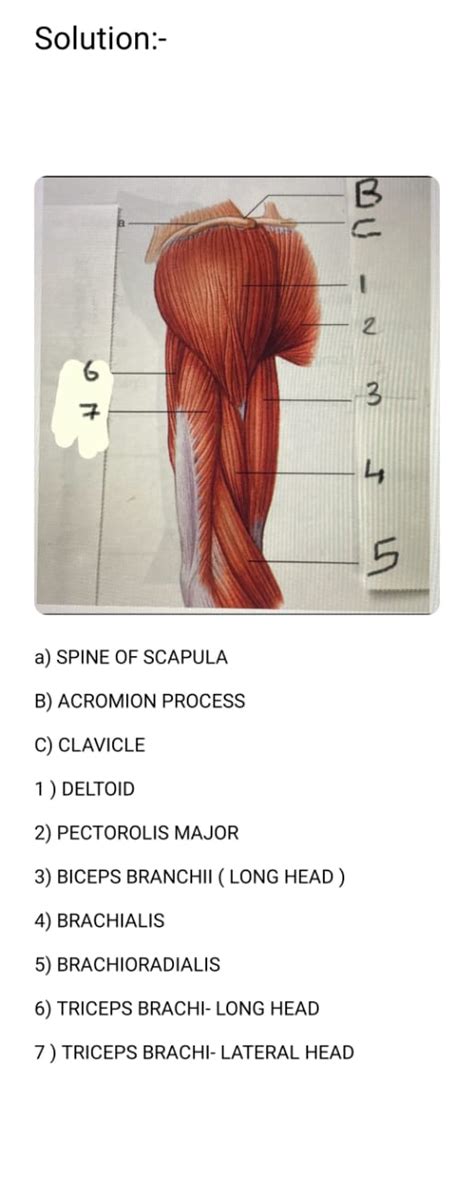 Solved A Course Hero