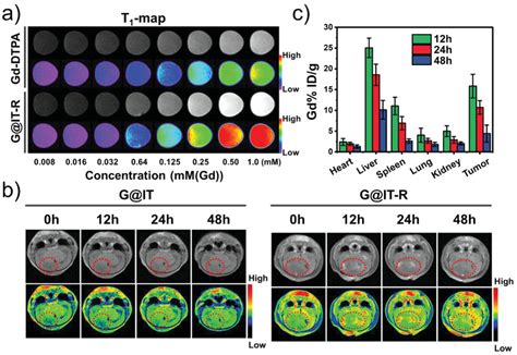 Modulating Nanozyme‐based Nanomachines Via Microenvironmental Feedback For Differential