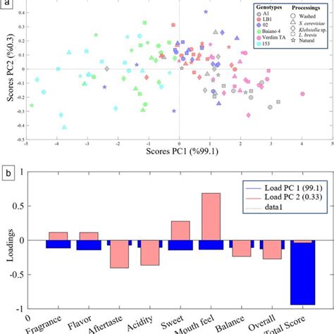 principal component analysis score plots a and b and loading plots